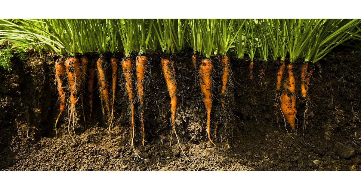 Nachhaltige Entwicklung große Artenvielfalt - Bellaflora