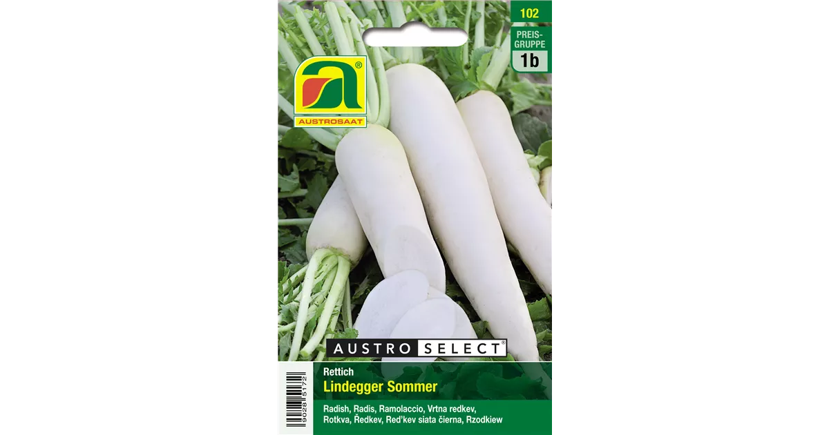 Rettich Lindegger Sommer Austrosaat - Bellaflora
