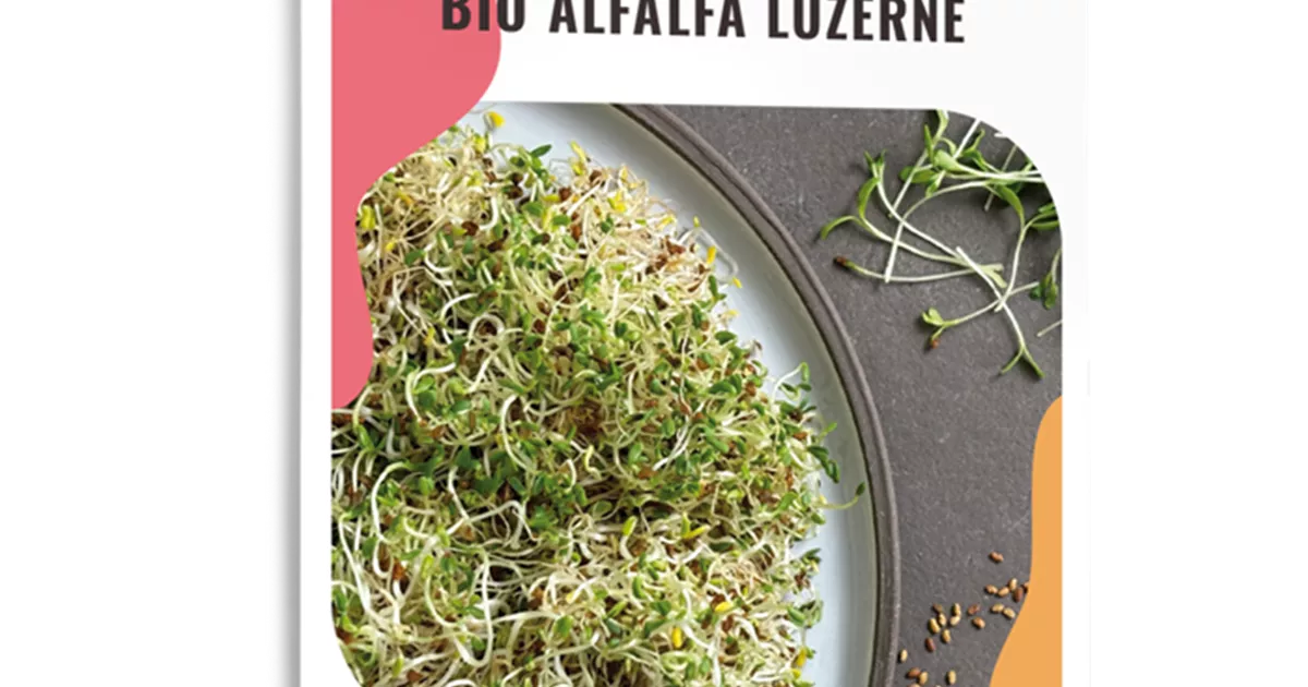 BIO Sprouting Alfalfa Luzerne - Bellaflora