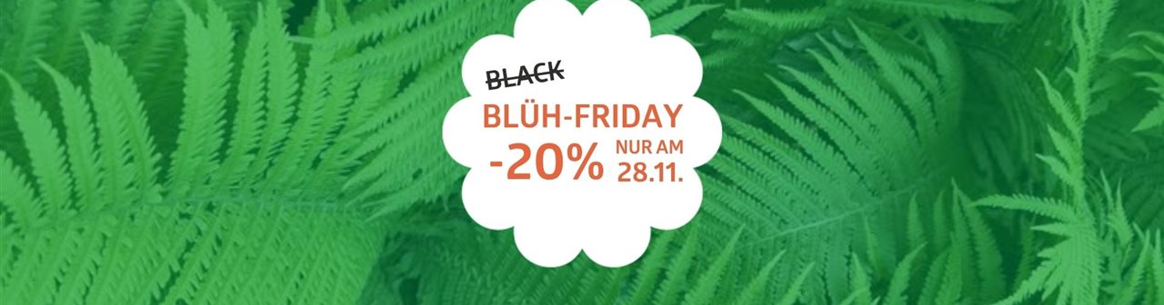 Blüh-Friday - Bellaflora
