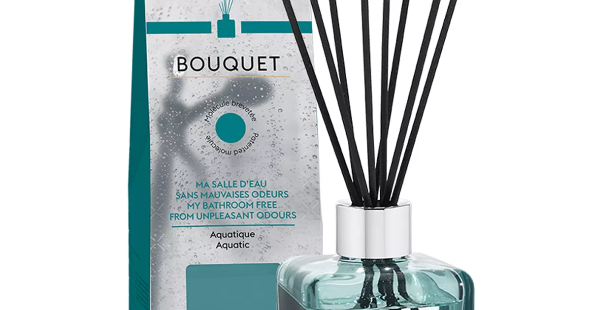 Parfum Berger Diffuser Antiodeur-Cube - Bellaflora