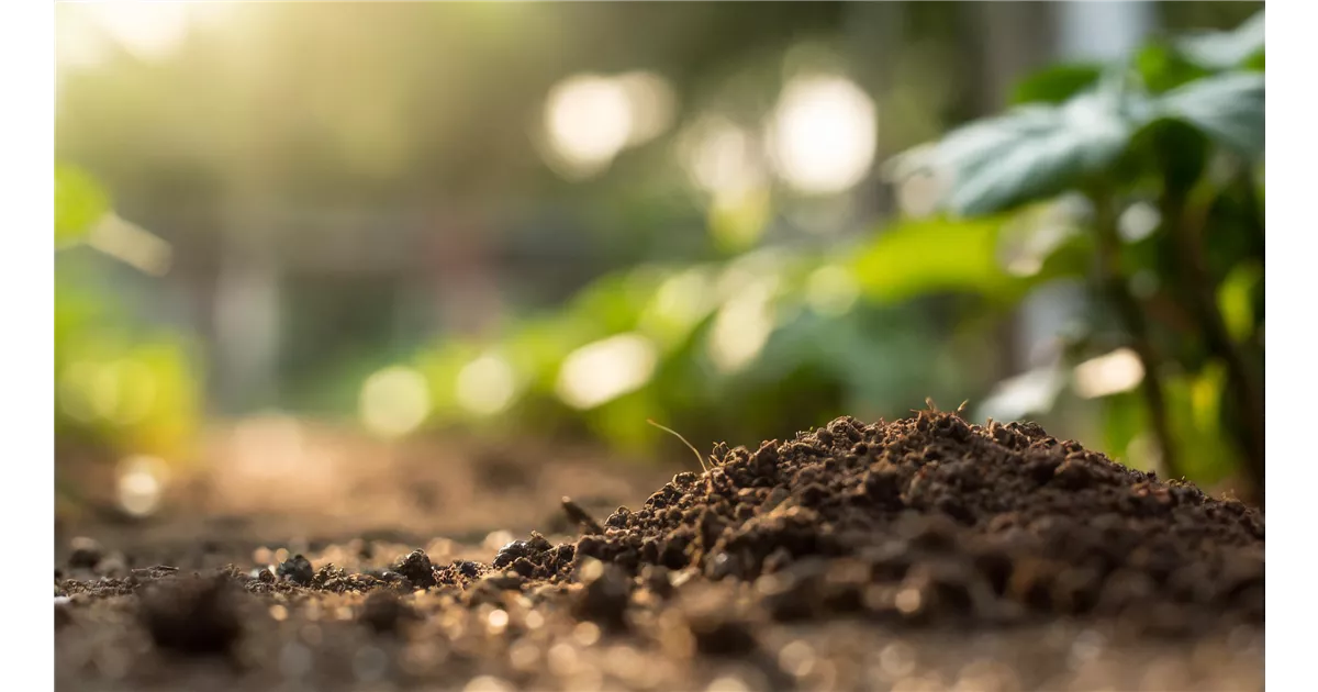 Die Bedeutung des Bodens - Bellaflora